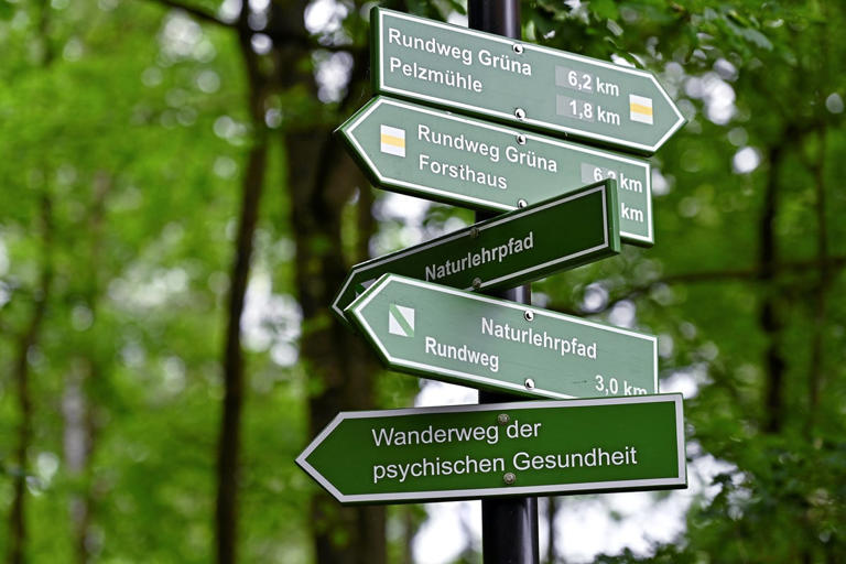 Deutschlandweit einmalig: Dieser Wanderweg in Chemnitz tut der Psyche gut