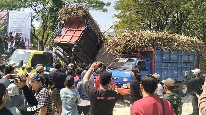 Buntut aksi tumpah tebu petani Blora, manajemen hingga mesin pabrik ...