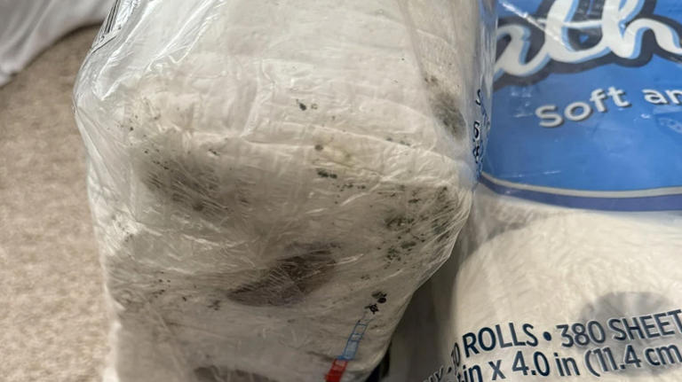 5 common problems with Costco's Kirkland Signature toilet paper