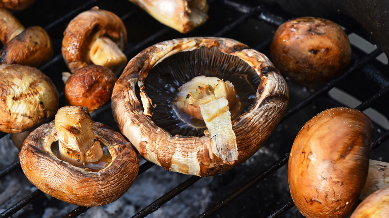 Unexpected benefits of portobello mushrooms