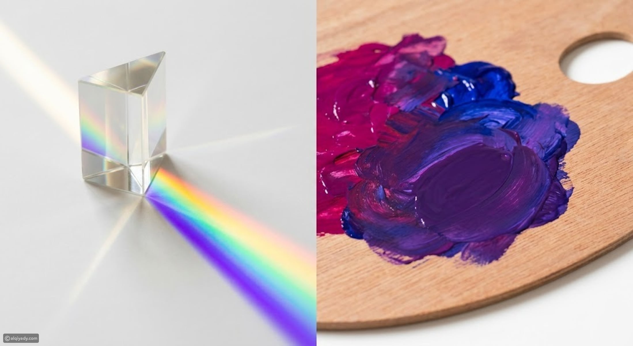 Science says purple isn’t real — your brain is making it up