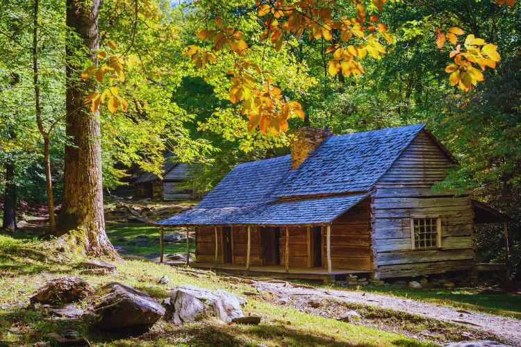 Smoky Mountain magic: Bears, mist and America’s most beloved wilderness