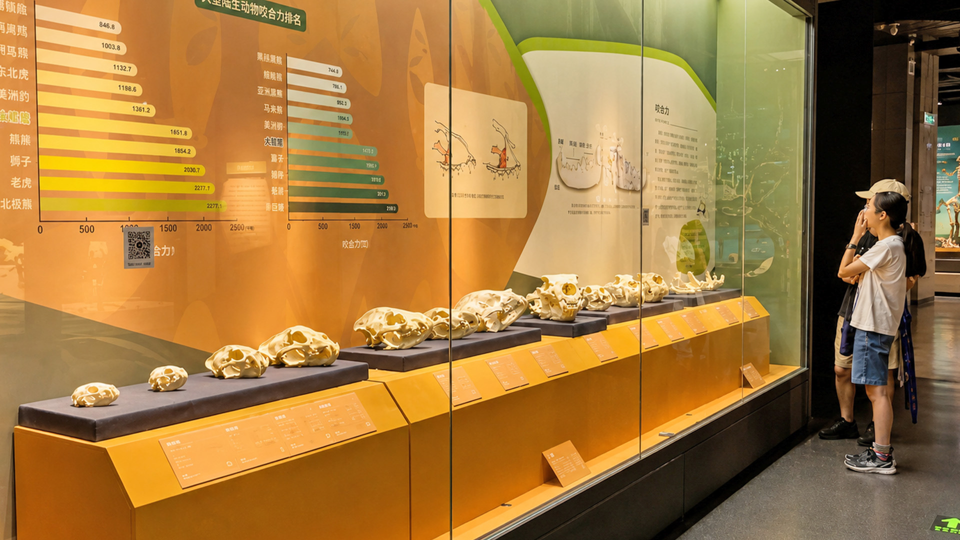 Educatieve museumtentoonstellingen tonen de diversiteit van wilde dieren