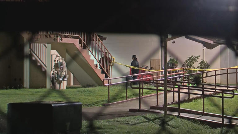 Suspects released in Wahiawa fatal stabbing after prosecutors decline ...