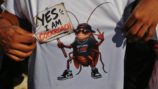 Teens and the 'cockroach': Online anger hits the street with CJP's ...