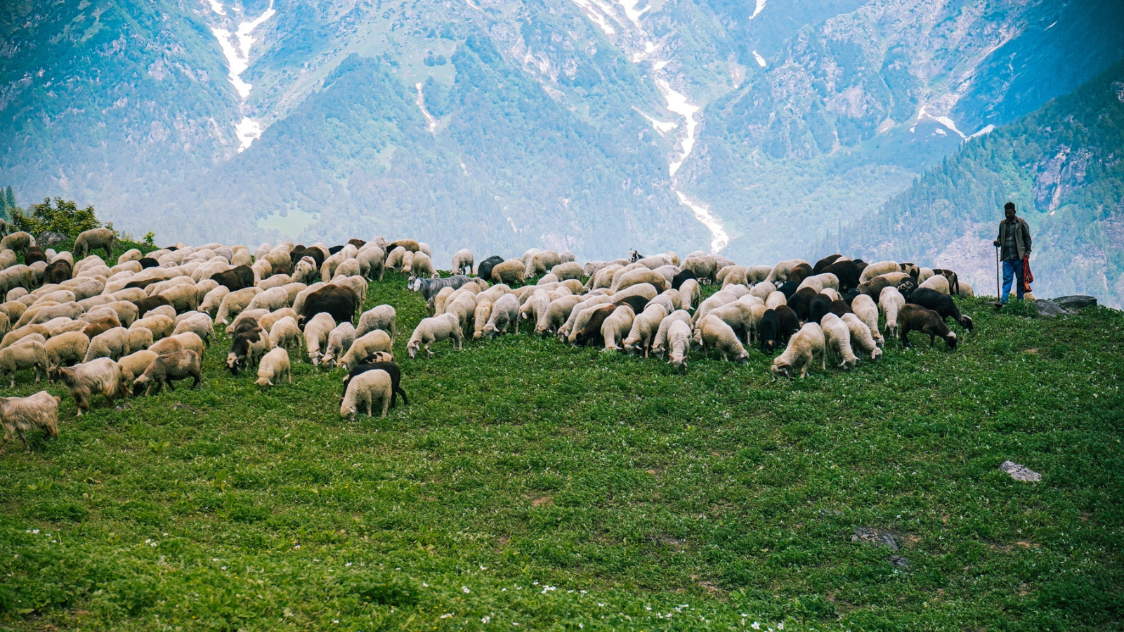 Which valley in Kashmir is known as the valley of shepherds?