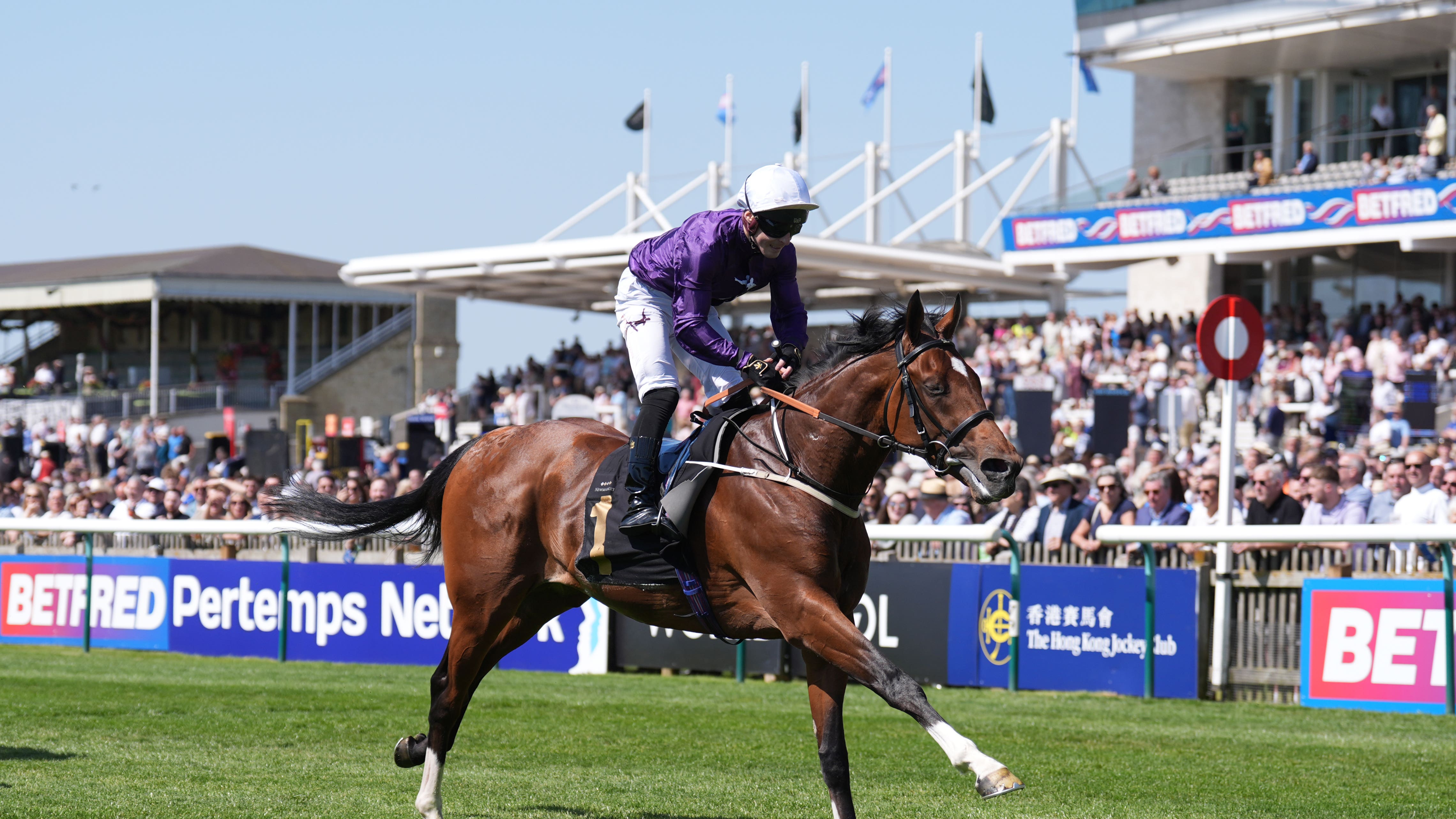 Ancient Egypt could be the one to realise Derby dream for Egan