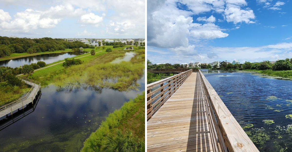 This Texas boardwalk trail takes you through a hidden bird sanctuary ...