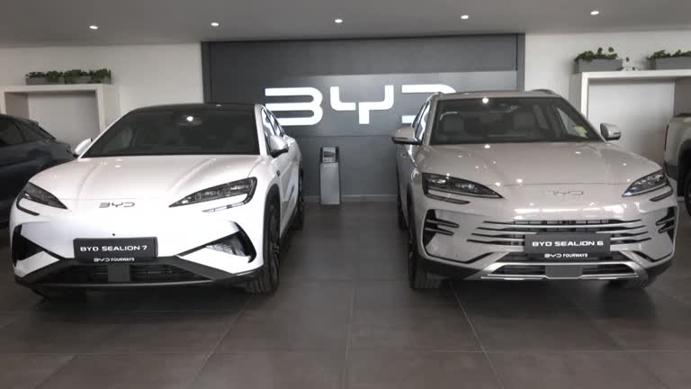 BYD snaps longest streak of sales declines