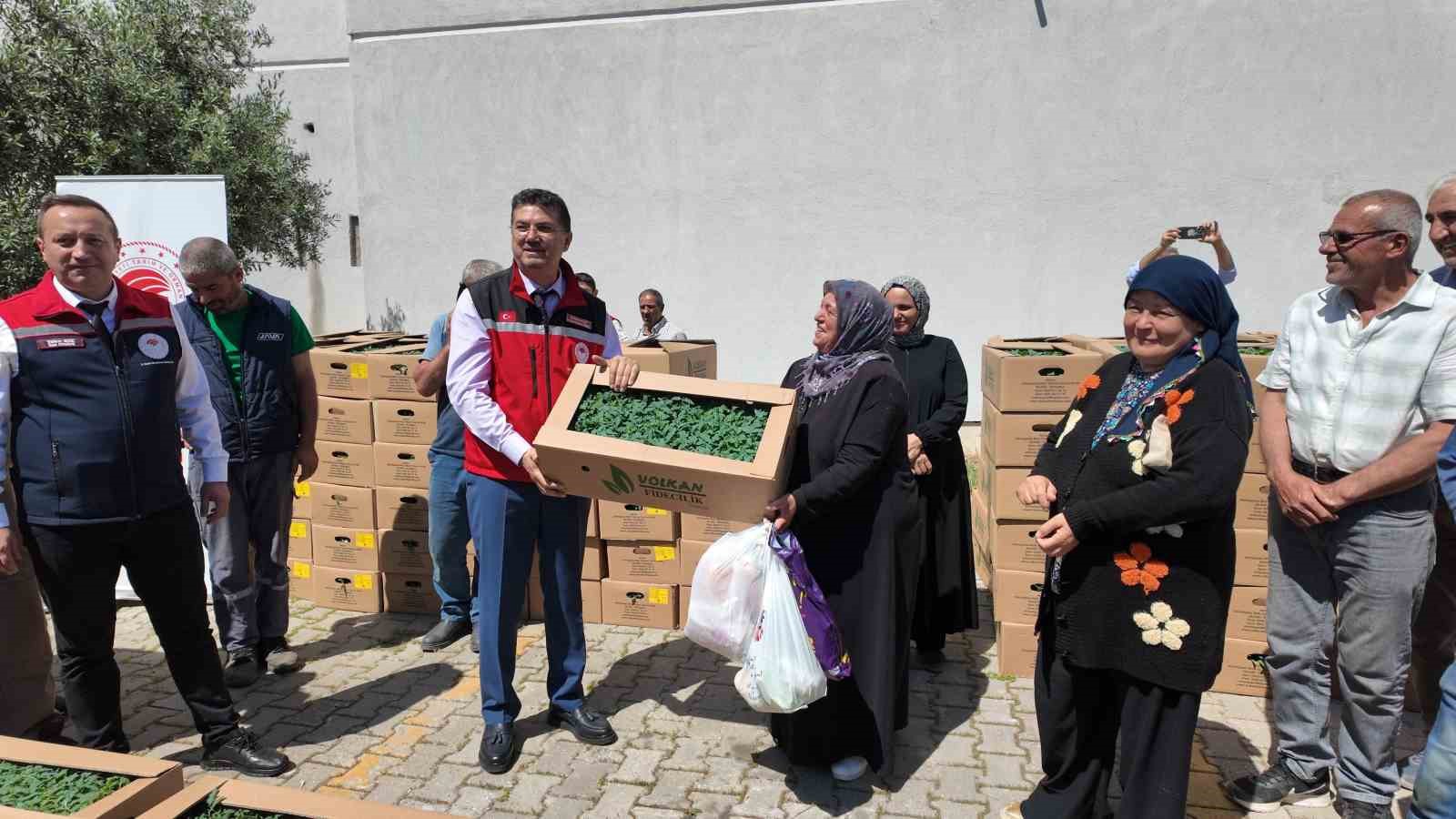Tekirdağ’da 407 üreticiye 256 bin yazlık sebze fidesi dağıtıldı