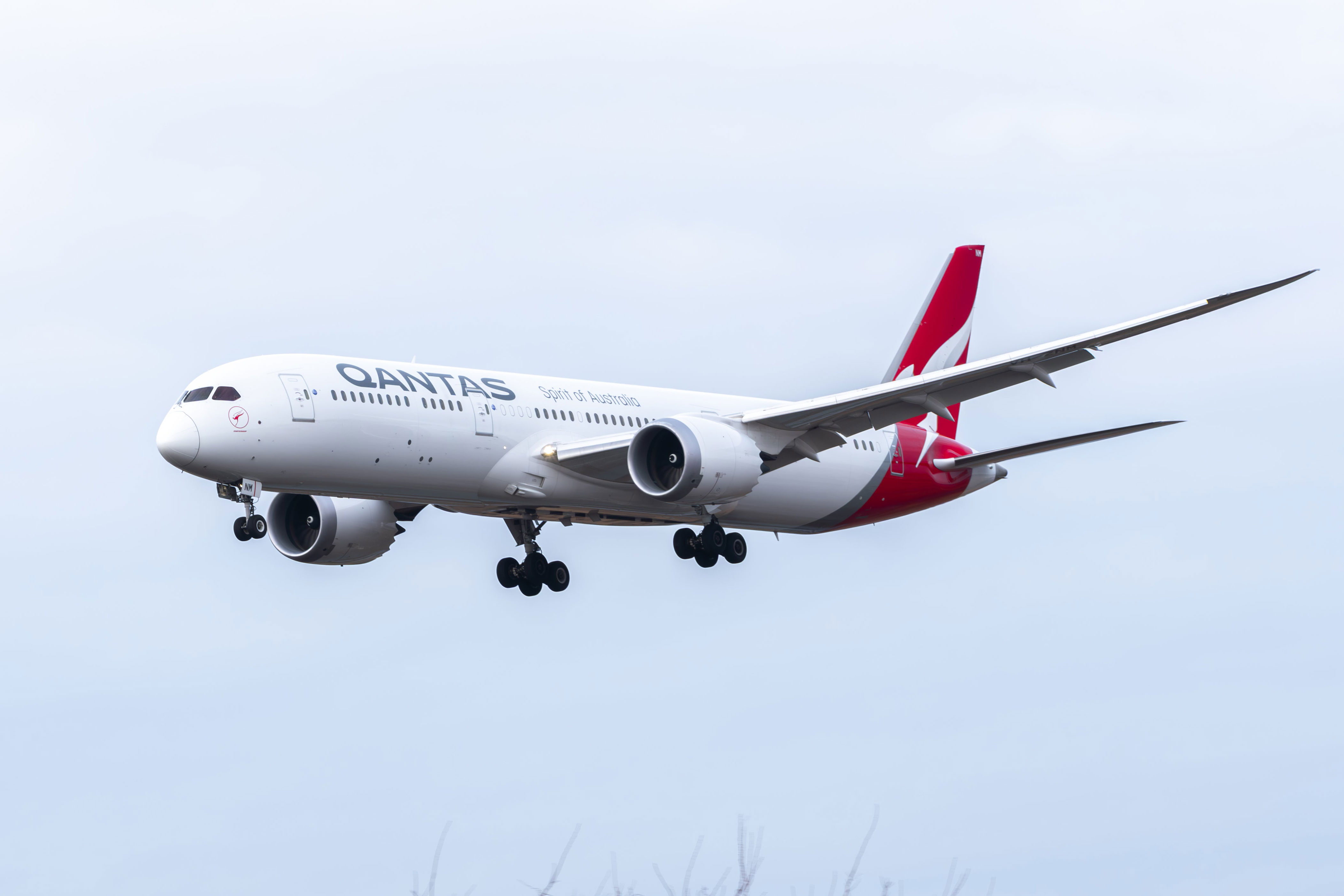 Qantas frequent flyer removed from list of American Express transfer ...