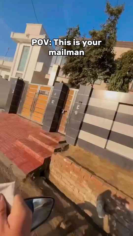 POV: This is your mailman