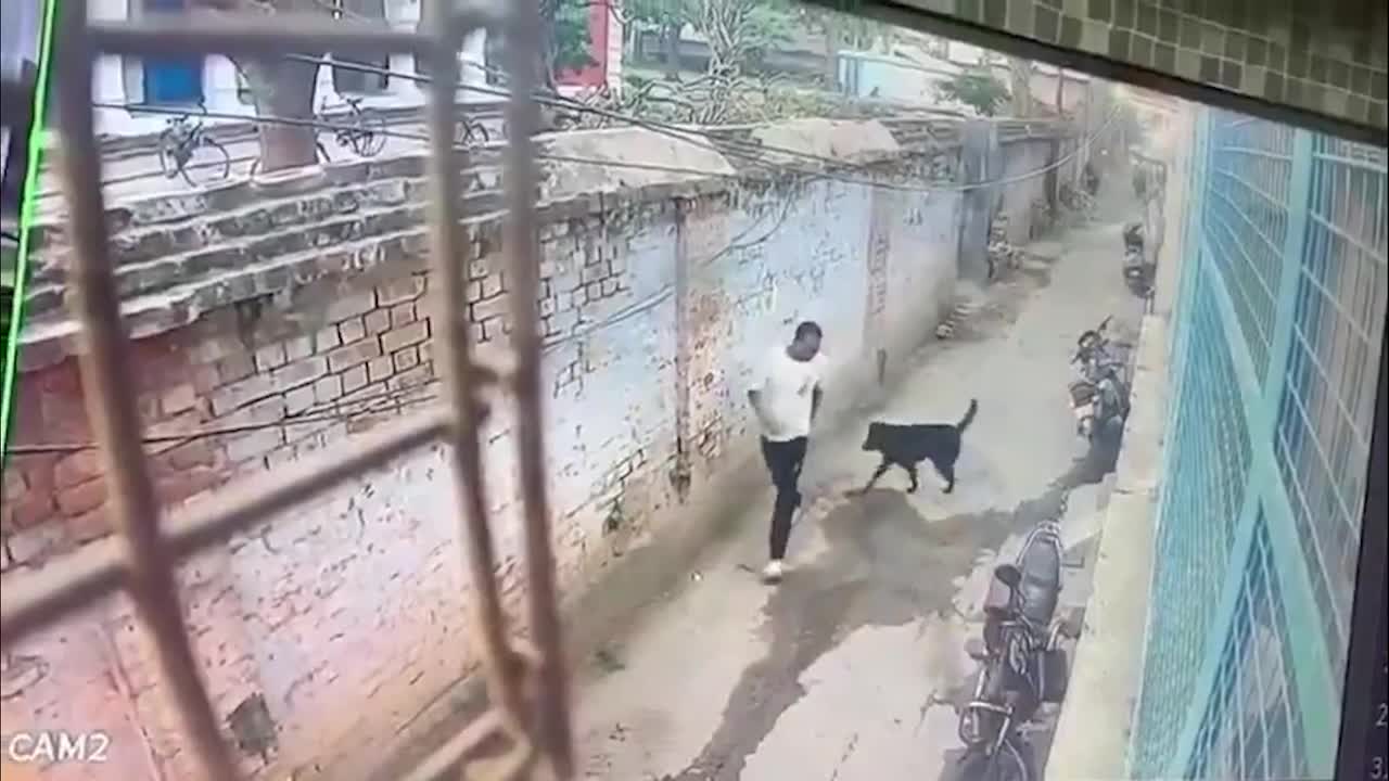 Residents chase away pet dog as it attacks their friend outside home