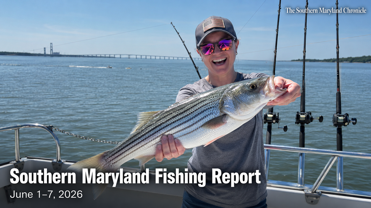 Good weather forecast boosts weekend fishing in region