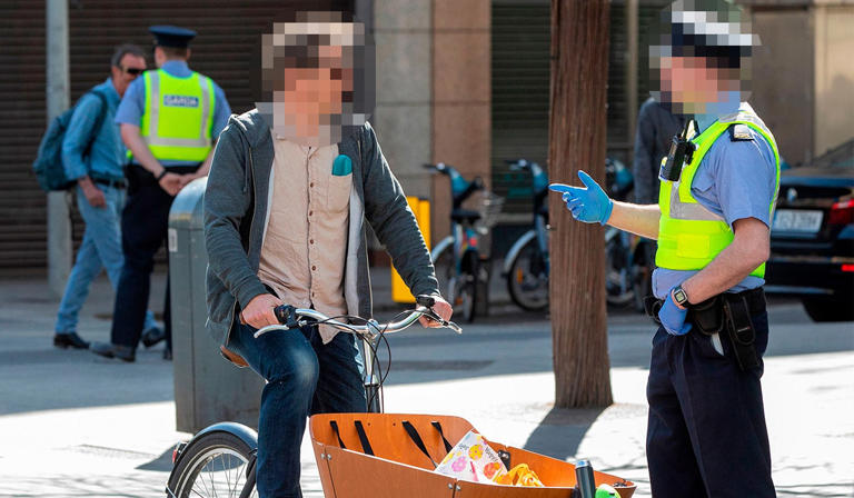 Six years on: Why Gardaí 'inspected' people's shopping during pandemic
