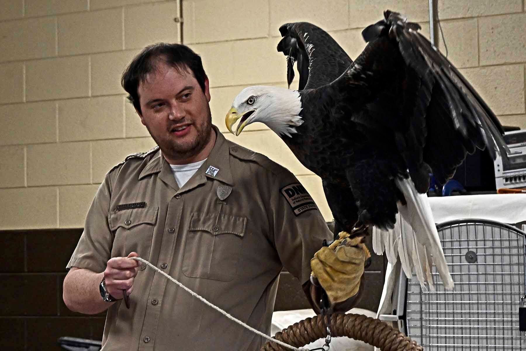 Gibson Co. kicks off America 250 celebration with live bald eagle ...