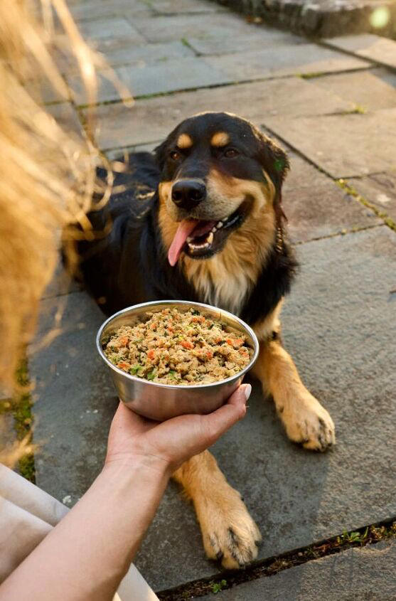 Fresh dog food backed by real science and smarter nutrition