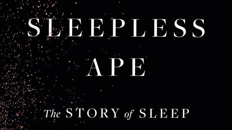One way to improve your sleep? Imitate the habits of hunter-gatherers