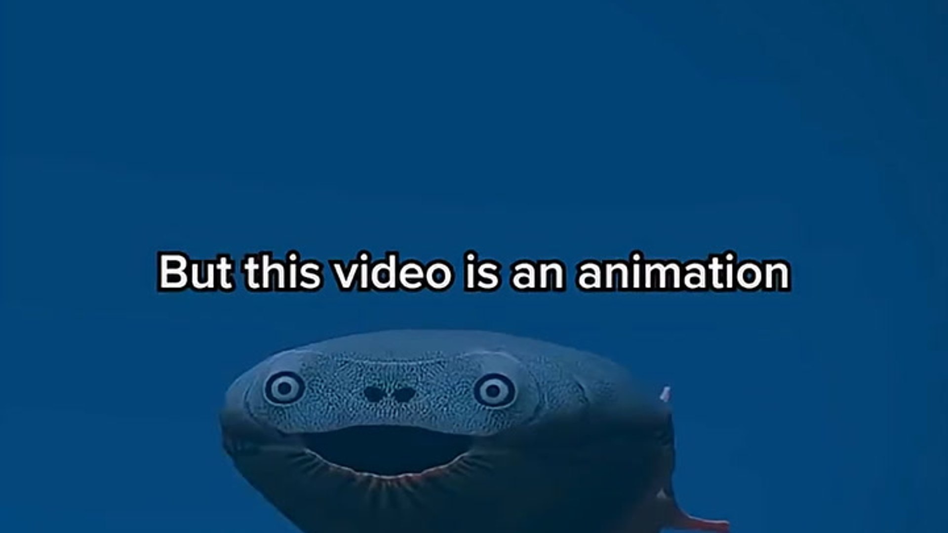 Is this the most bizarre fish to ever exist?