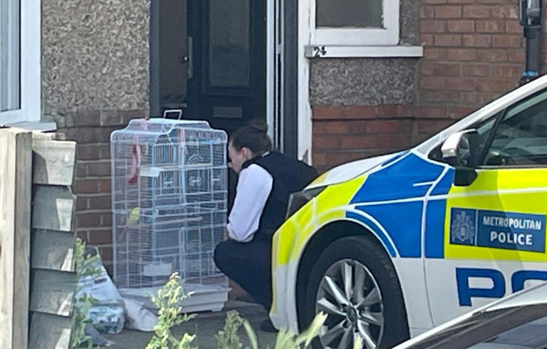 Quiet west London street turns into 'crime scene' after body found 100 ...