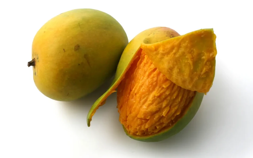 San Francisco mango party draws 200 for Indian fruit feast