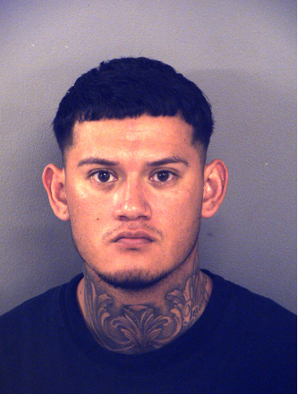 'Severely malnourished:' El Paso men arrested in animal cruelty cases
