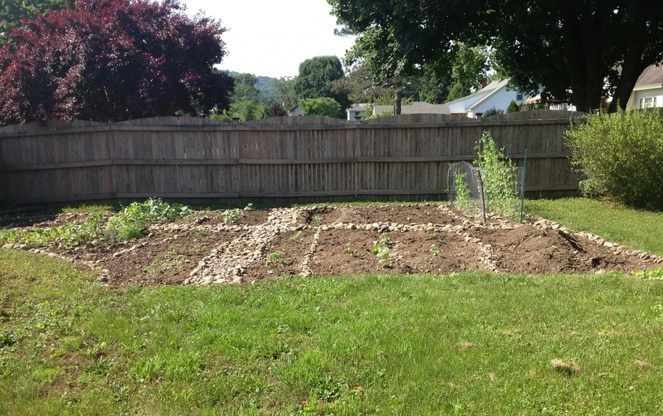 North Carolina couple builds DIY raised bed garden from scratch