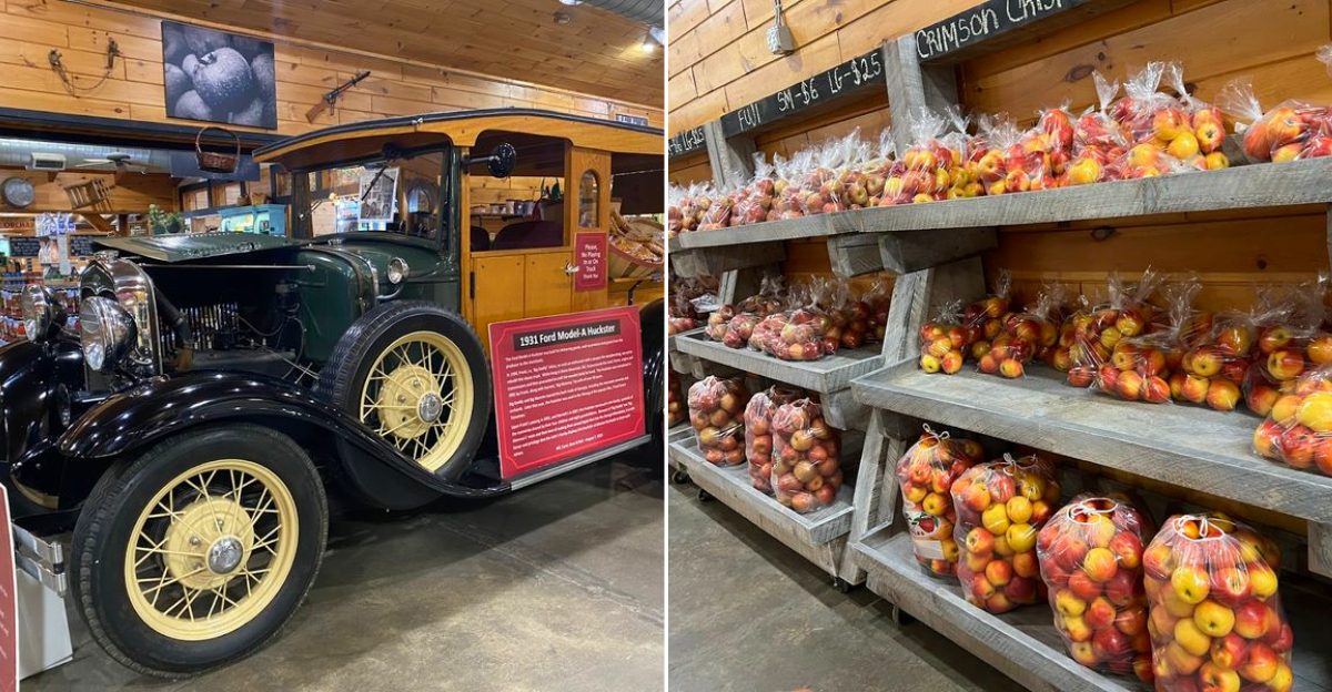 The sprawling Georgia orchard and farm market where crowds line up for ...