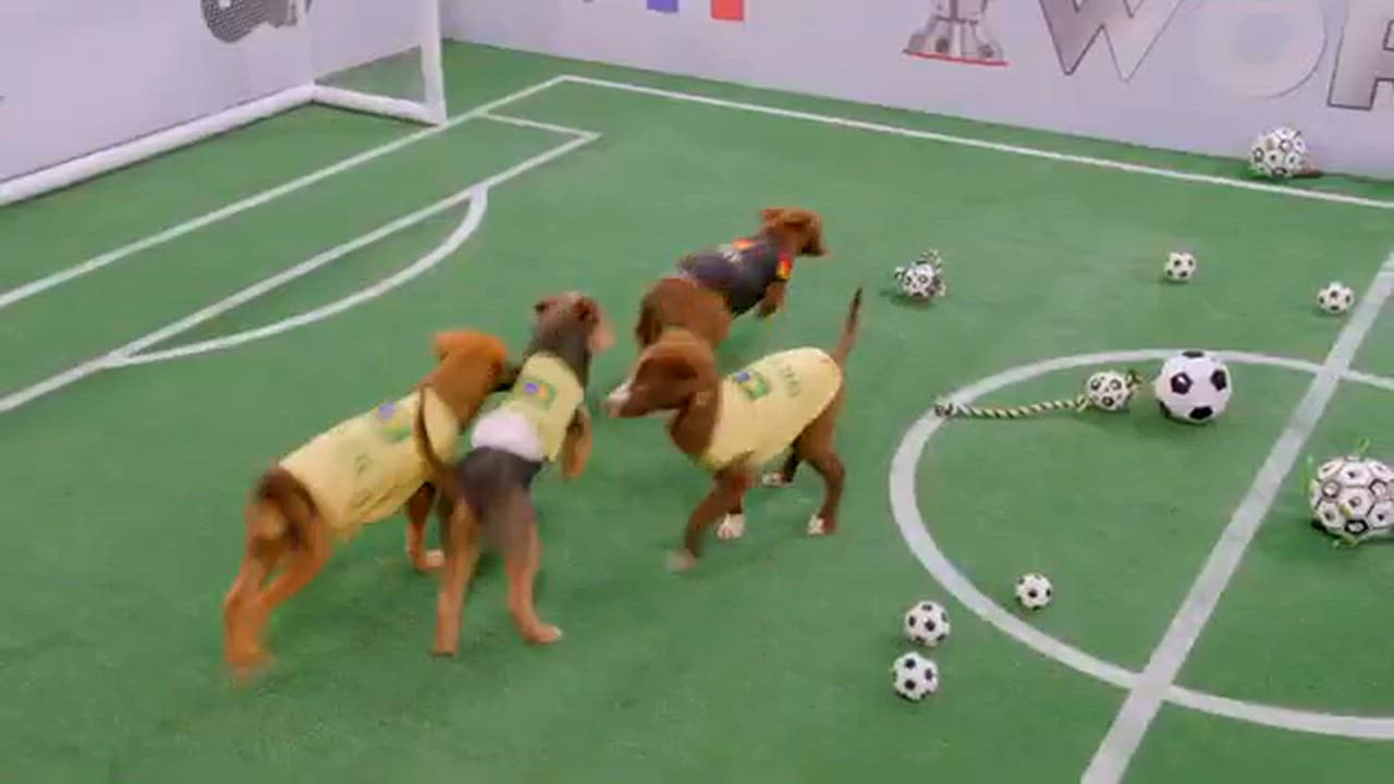LG Channels World Pup: Trailer