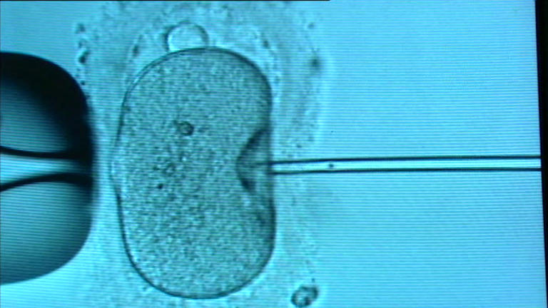 Changes to Victoria's IVF laws promise 'tougher scrutiny' of providers ...