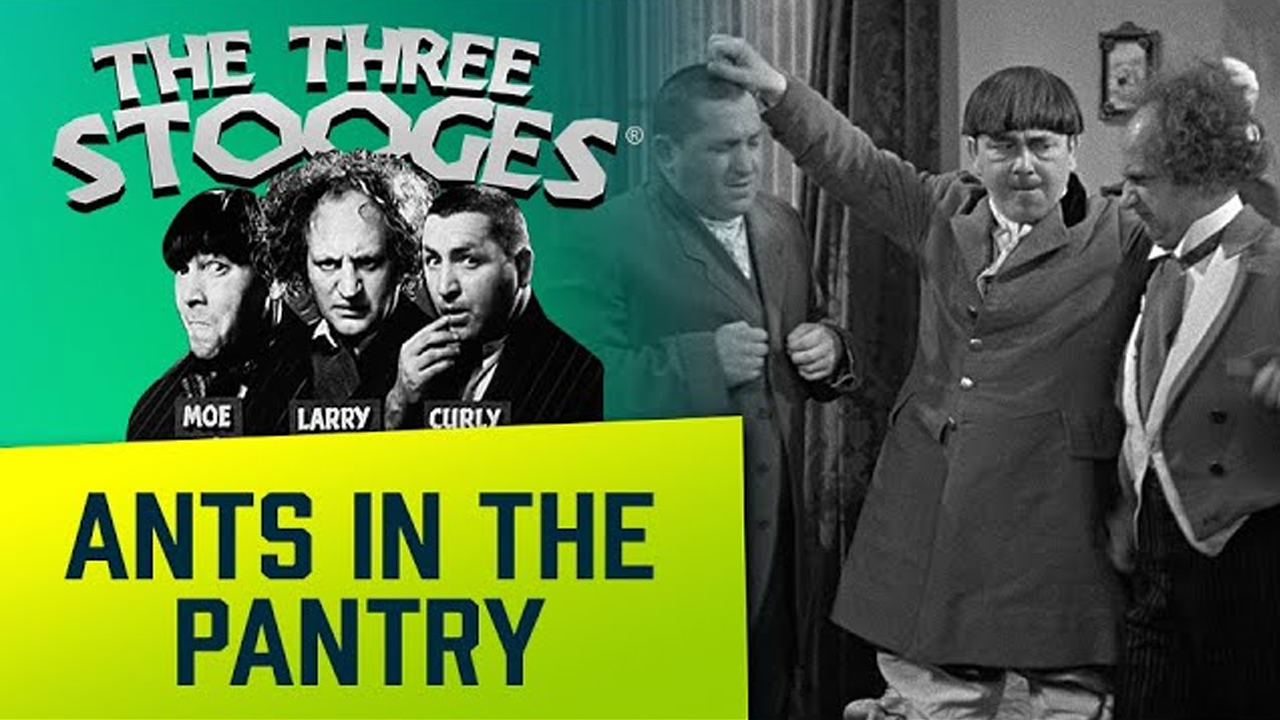Three Stooges - Ants in the Pantry - Ep. 12