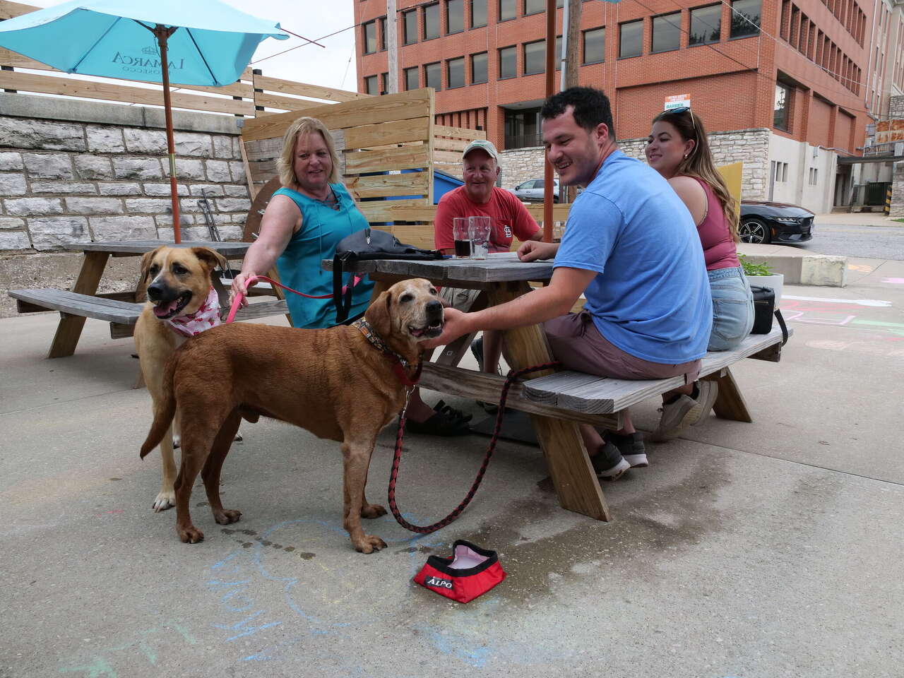 Downtown Alton Pup Crawl draws hundreds for treats, drinks and dog ...