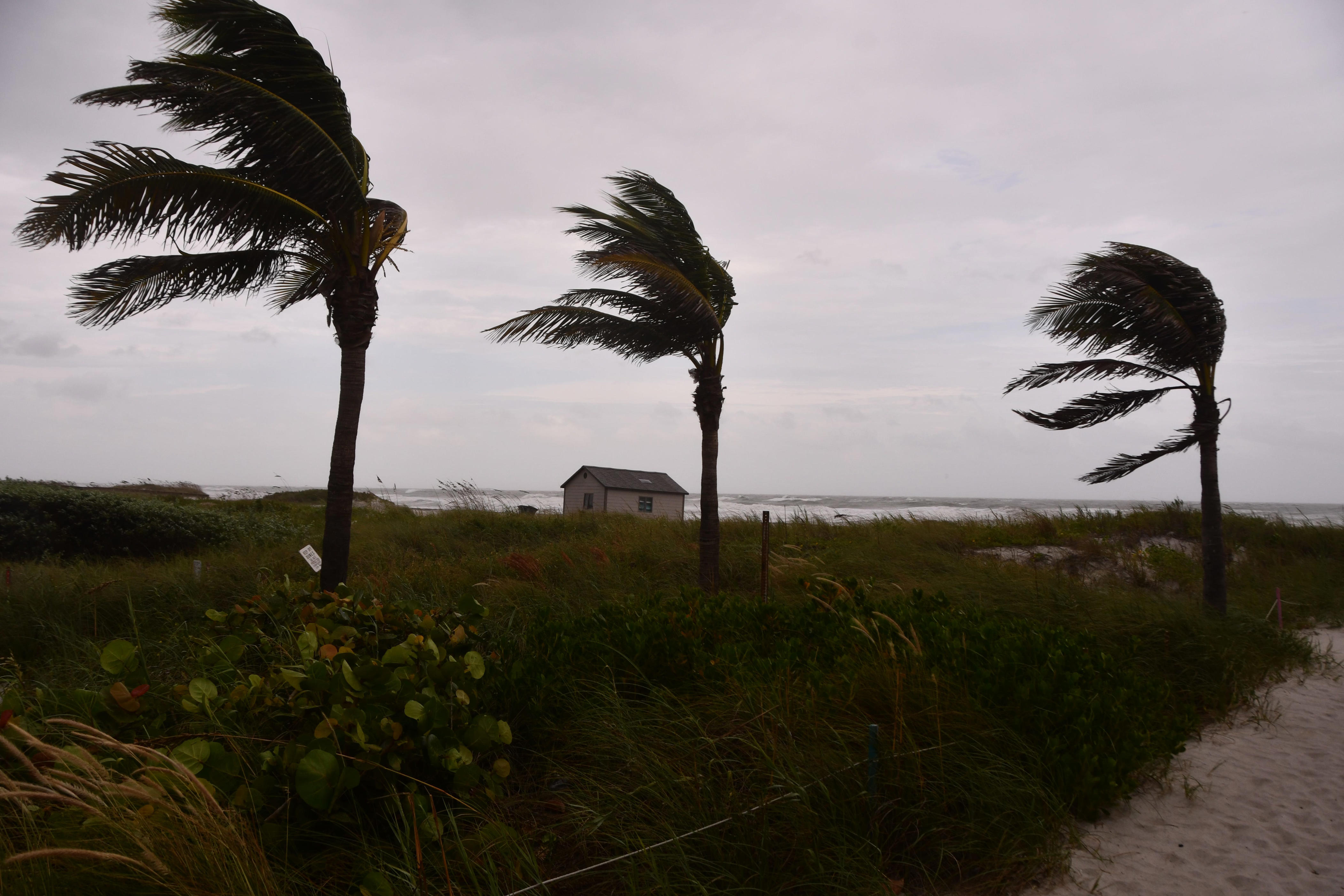 NHC watching 3 tropical waves at start of hurricane season