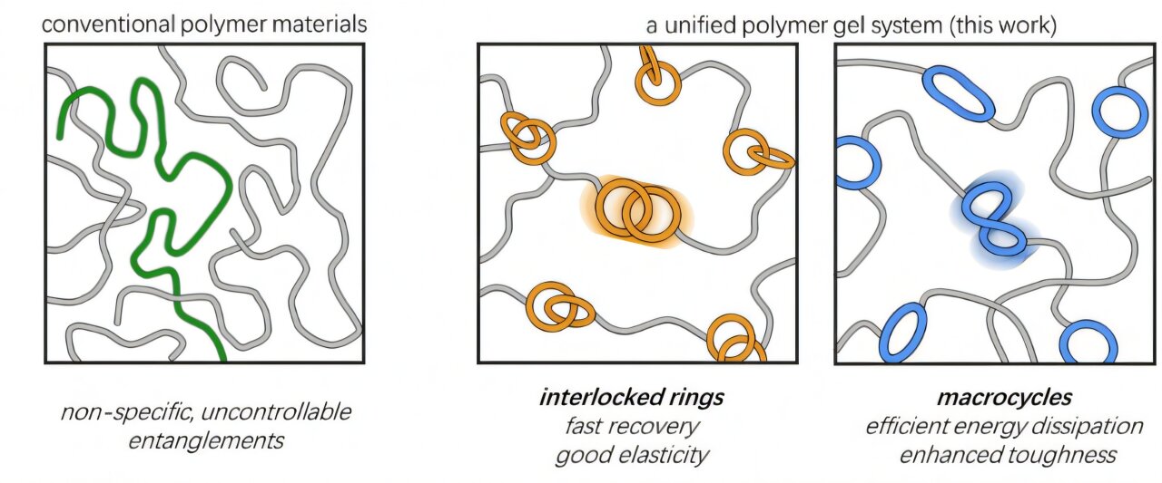 Precise polymer 'knots' uncover hidden slack for designing ultra-tough ...