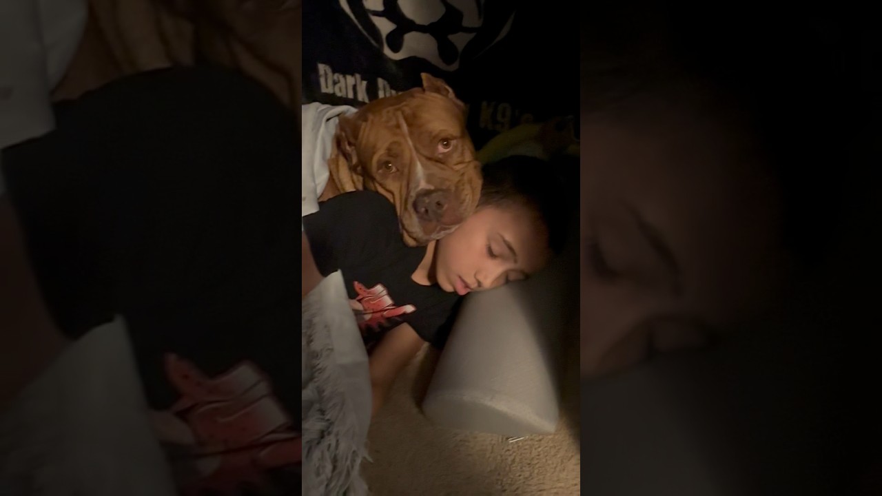 A child falls asleep beside his disabled dog every night