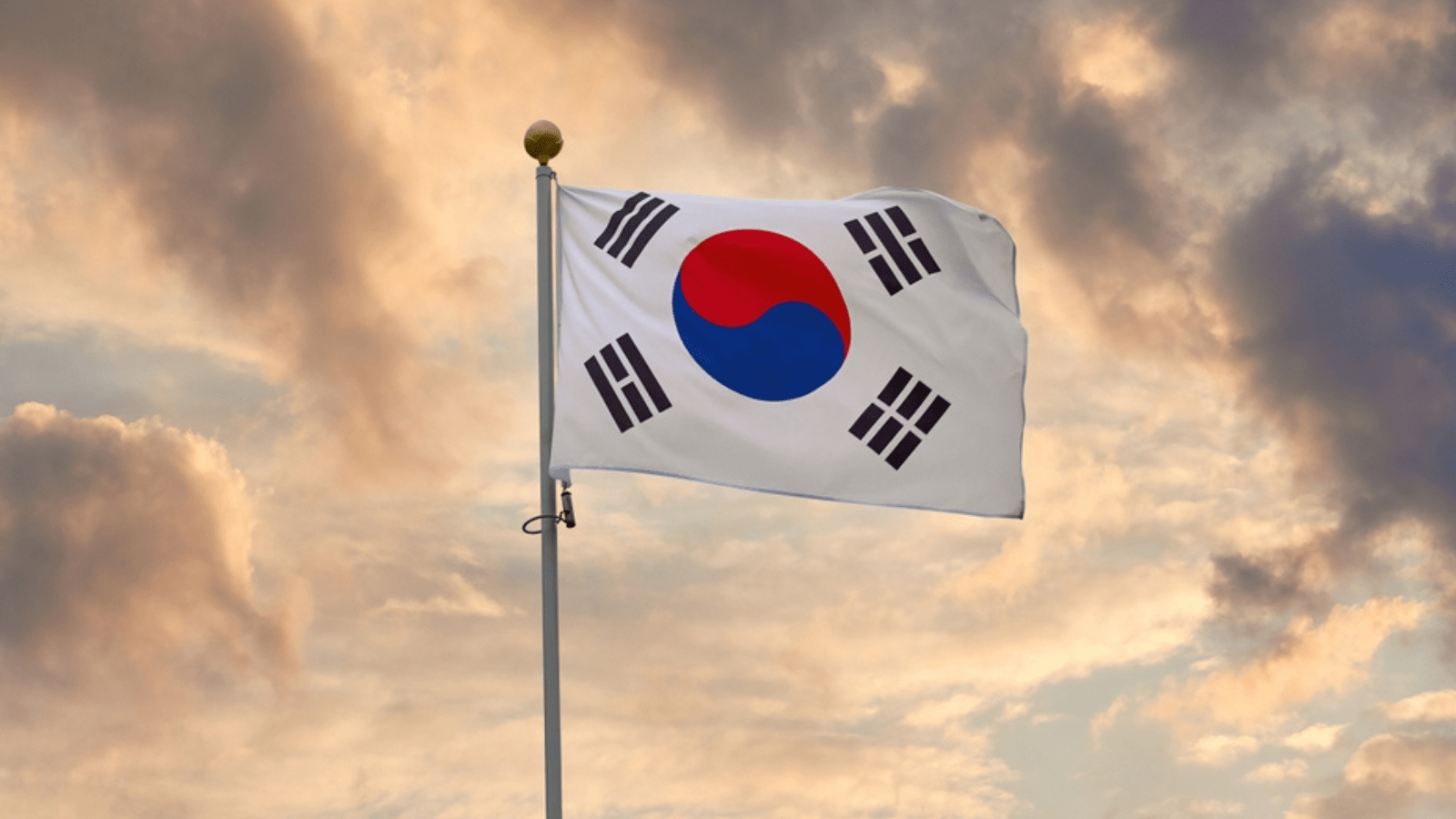 South Korean defence giant promises Canadian steel jobs if Ottawa picks ...