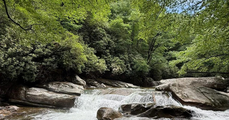 This hidden campground near the Smokies is worth the trip