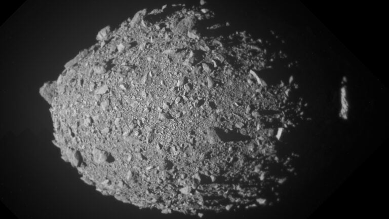 A 'fishy squisher': NASA confirms meteorite landed in Cape Cod Bay
