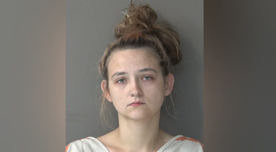 Woman accused of crashing into buggy, injuring four people including baby