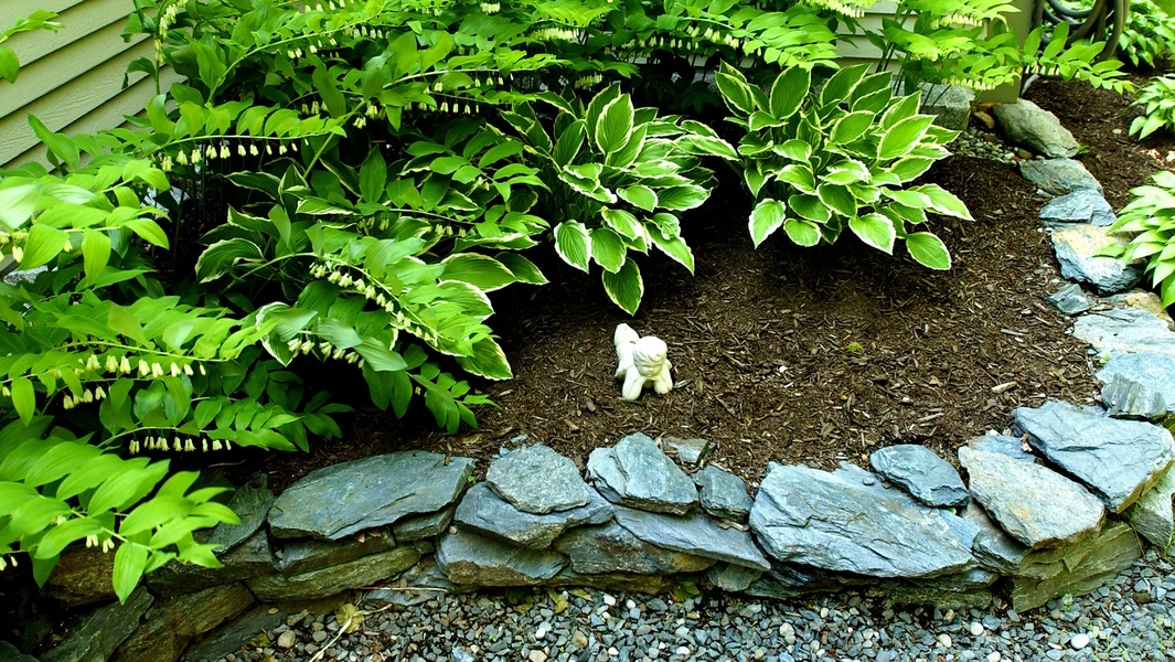 Shade garden ideas for cozy green spaces