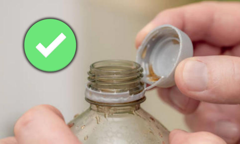 Recicla tapas de plástico y crea este increíble objeto DIY decorativo ...