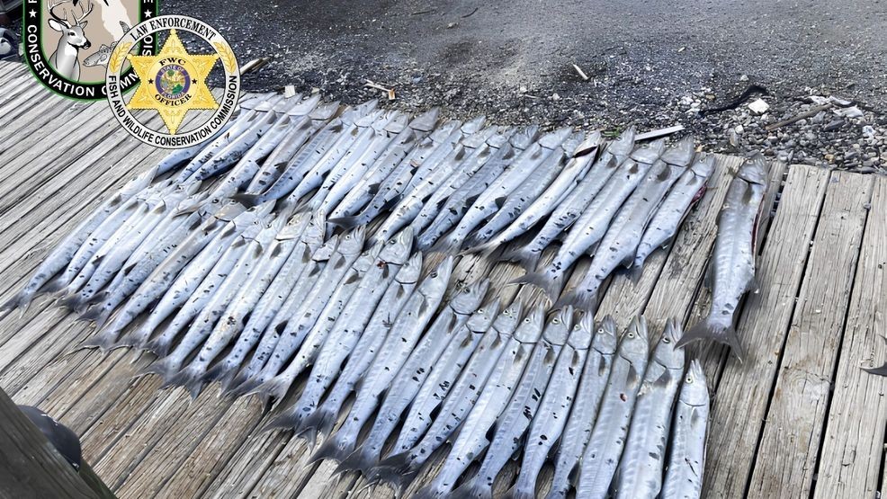 Three found with 51 barracudas hidden in cooler off Key West, FWC says