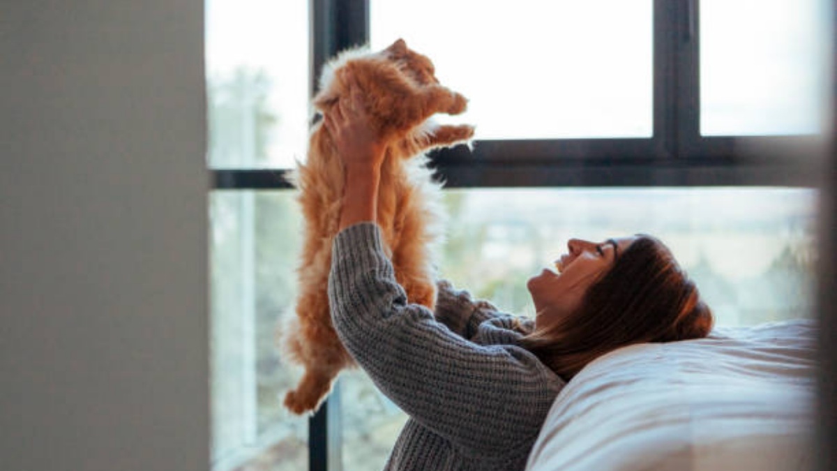 10 behaviors that reveal your cat has chosen you as its favorite person