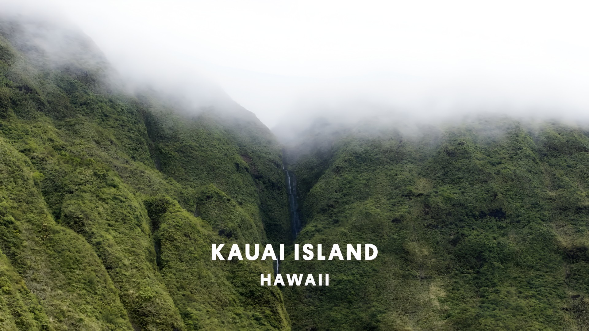 How Steve Perlman helps protect Hawaiʻi’s rarest plants