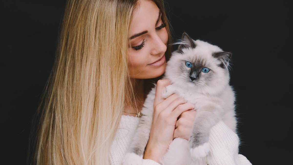 Find out which 4 birth dates make the best kitten parents
