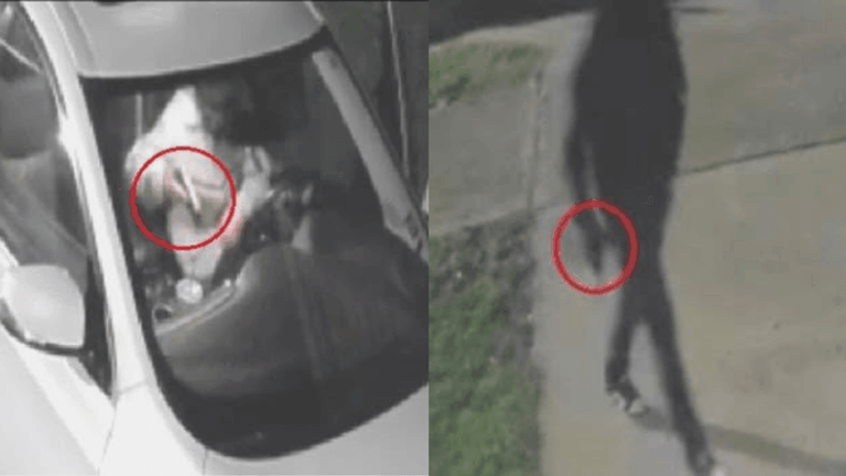 7 guns stolen as Georgetown police investigate 20 vehicle burglaries ...