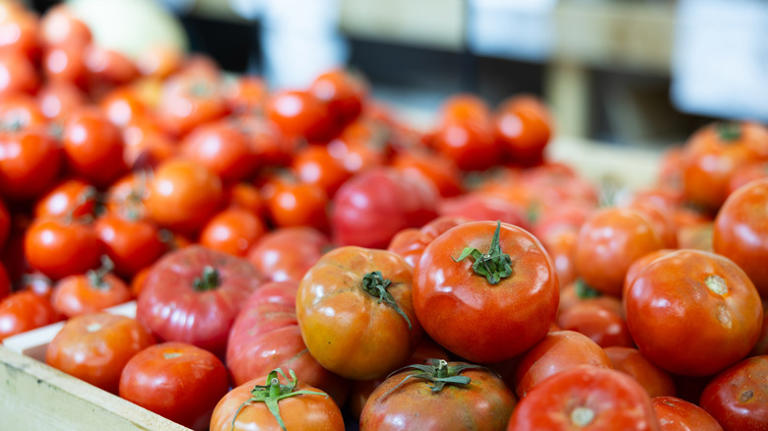 Why the cost of tomatoes is soaring in 2026