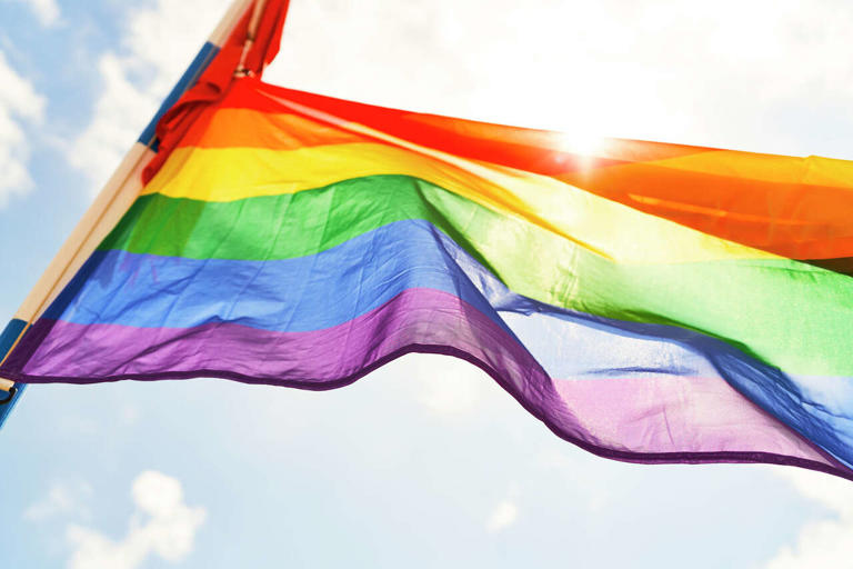 As Pride Month starts in June, here are the national months observed ...
