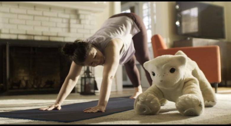 One of iRobot's co-founders is now making weird little robot companions