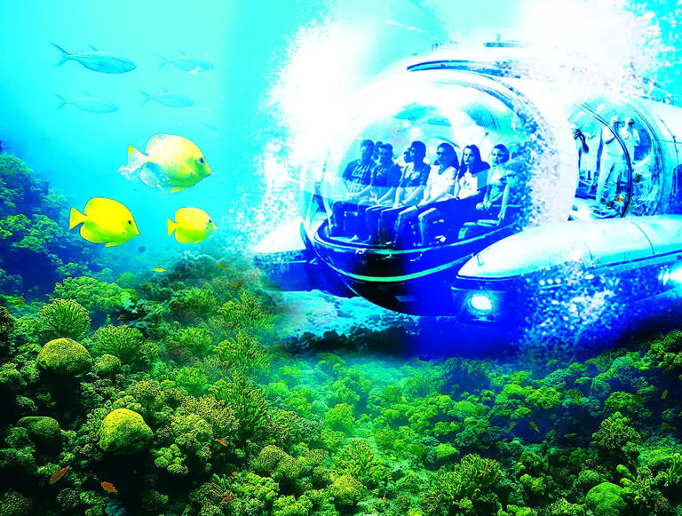 NIOT submersible to take tourists 500m under sea